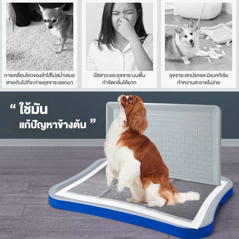 PetStern ห้องน้ำหมา ถาดฉี่สุนัข ขนาดใหญ่ ถาดฝึกฉี่สุนัข 2 ชั้น ป้องกันกลิ่น พร้อมเสา | Shopee ...