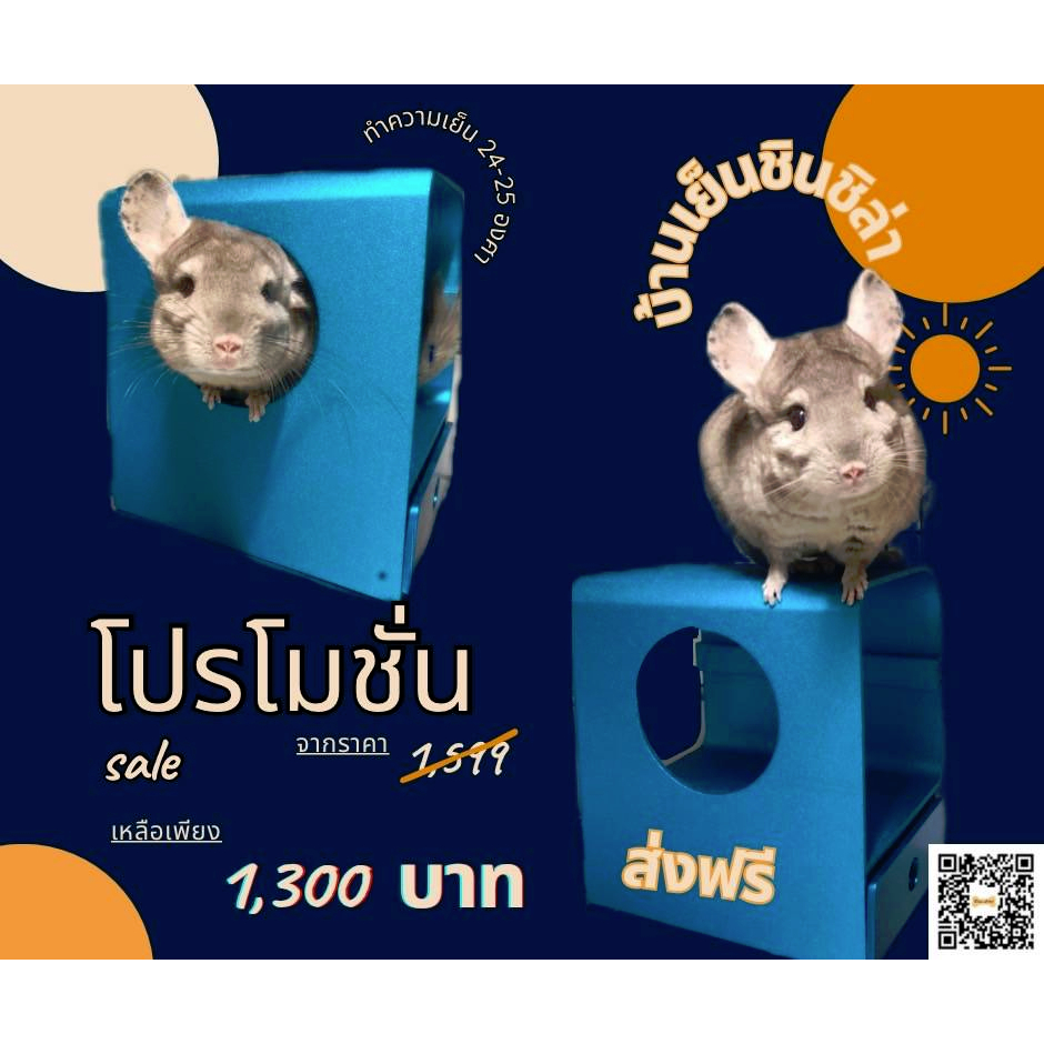 บ้านเย็นสำหรับชินชิล่า Comfy Box | Shopee Thailand