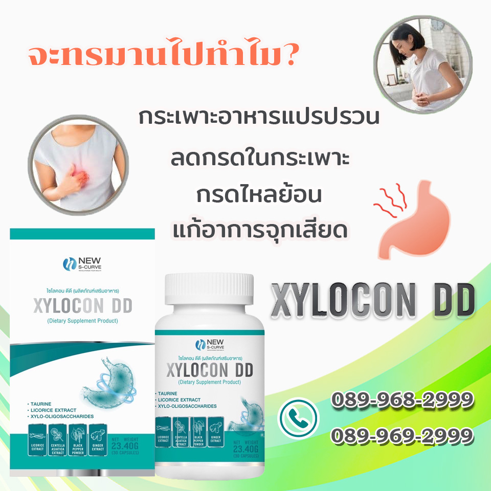 Xylocon DD (ไซโลคอน ดีดี) | Shopee Thailand