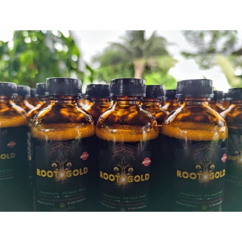 ฮอร์โมนเร่งราก รูทโกลด์💥 Root Gold 💥 | Shopee Thailand