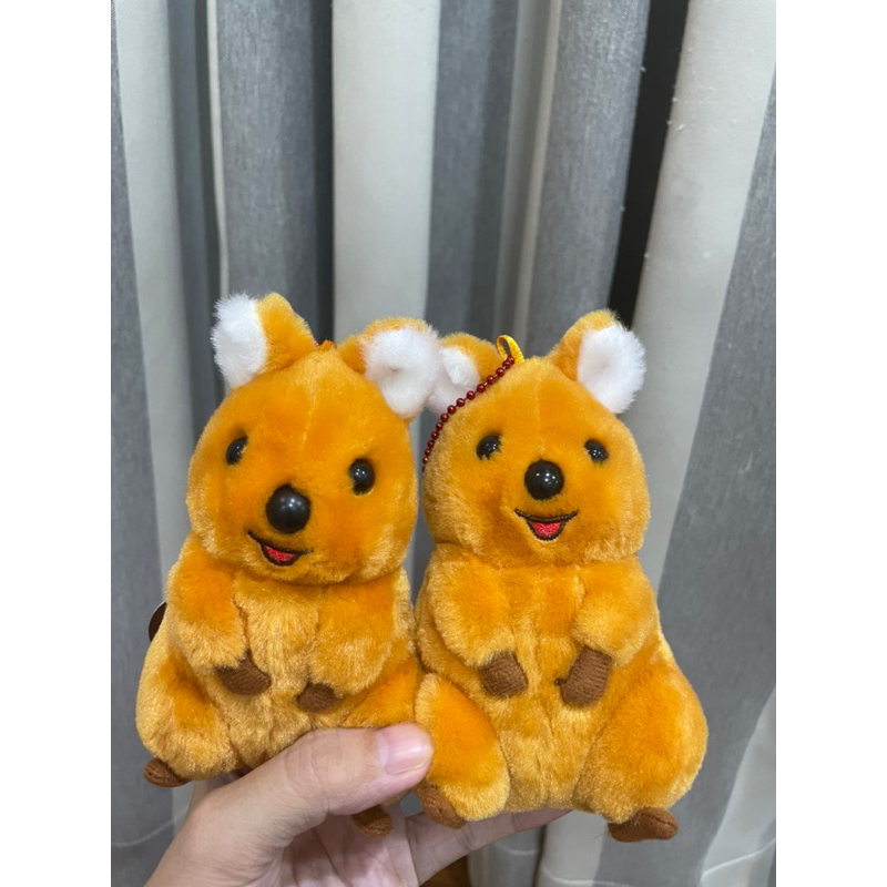 ⭐️ NEW ⭐️ Amufun Amuse Quokka Keychain พวงกุญแจ อมูส ควอกก้า งาน ...
