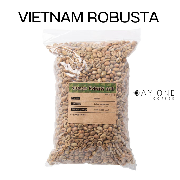 เมล็ดกาแฟโรบัสต้า robusta green bean DAY ONE COFFEE | Shopee Thailand
