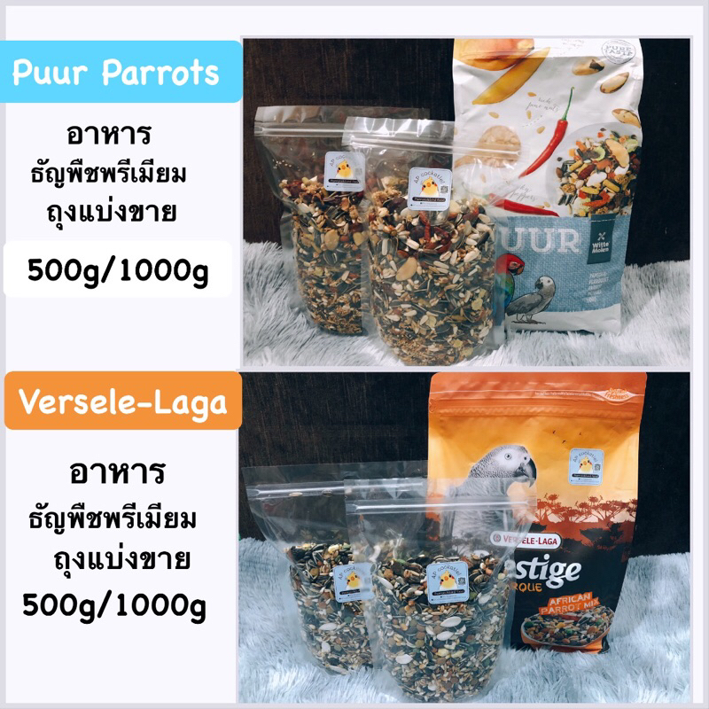 Puur parrot และversele-Laga เกรย์ ธัญพืชอาหารนกสำหรับนกแก้วขนาดกลางและ ...