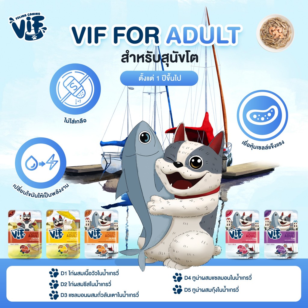 ซื้อ 10แถม1 Felina canino VIF Dog Adult เฟลินา คานิโน วิฟอาหารเปียก ...