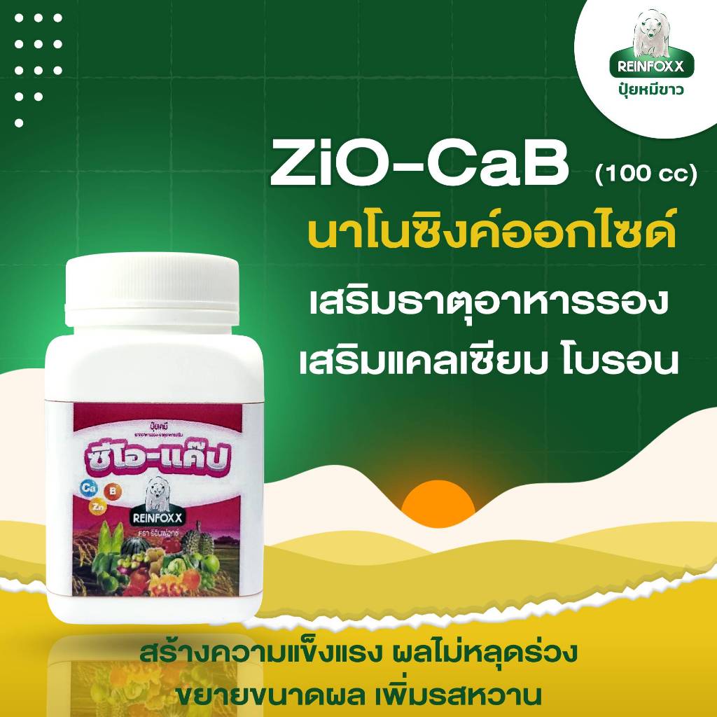 ปุ๋ยหมีขาวรีอินฟอกซ์ รุ่น ZiO-CaB (100 cc) (Zinc ซิงค์ สังกะสีพืช ...