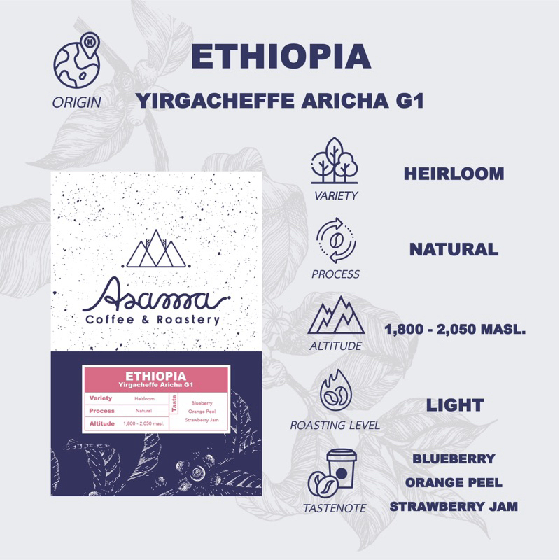 เมล็ดกาแฟคั่วอ่อน Ethiopia Yirgacheffe Aricha G1 200 กรัม | Shopee Thailand