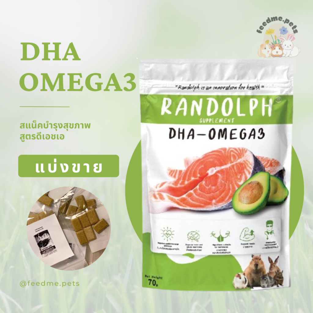 Randolph DHA-OMEGA3 สแน็คบำรุงสุขภาพสำหรับสัตว์กินพืชขนาดเล็ก สูตรสูตรดีเอชเอ (แบ่งขาย) | Shopee ...