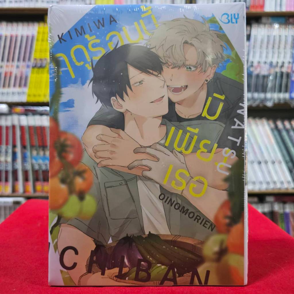 ฤดูร้อนนี้มีเพียงเธอ เล่มเดียวจบ การ์ตูนวาย หนังสือการ์ตูนวาย มังงะ มือหนึ่ง BLY | Shopee Thailand