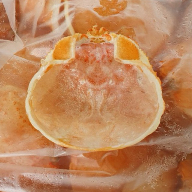 🦀 กระดองปูหิมะต้ม SNOW CRAB SHELL ขนาด 8-10 cm. | Shopee Thailand