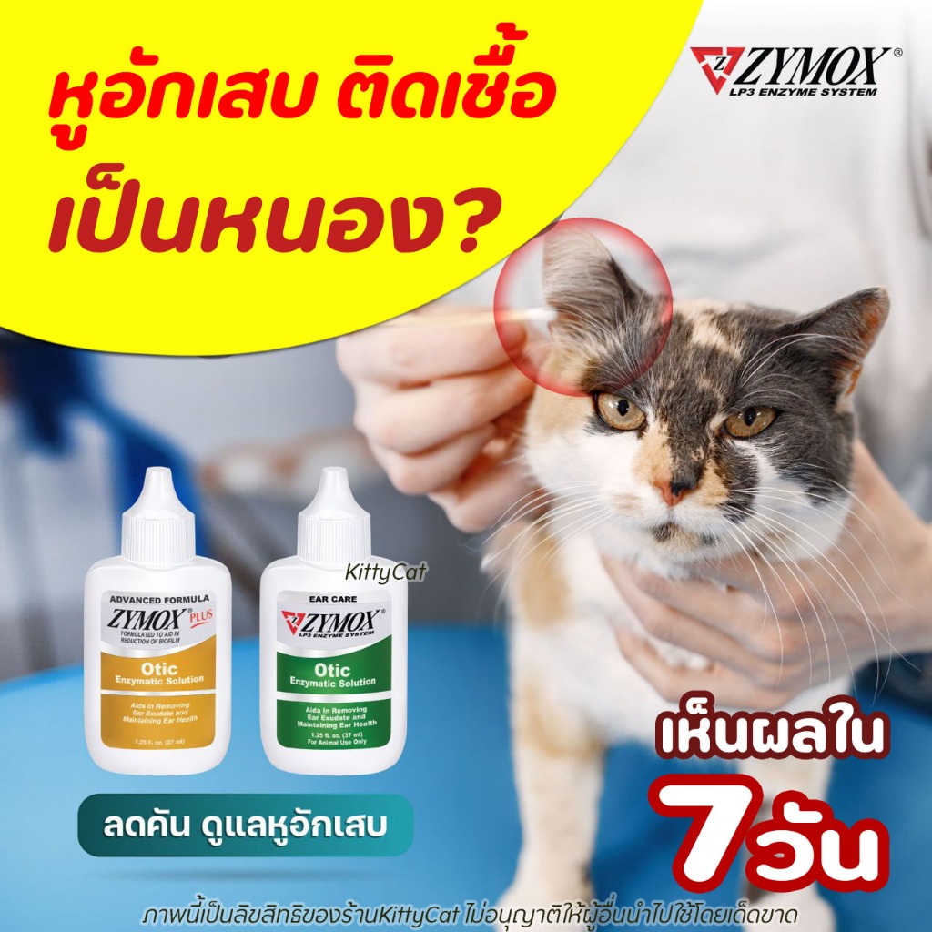 【ส่งเร็ว】37ml Zymox Otic Solution ผลิตภัณฑ์ดูแลช่องหู ภายนอก ลดคัน ...