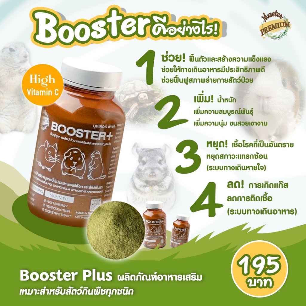 Master Premium Booster Plus อาหารหนูแกสบี้และสัตว์ฟันแทะ ขนาด 290 กรัม ...