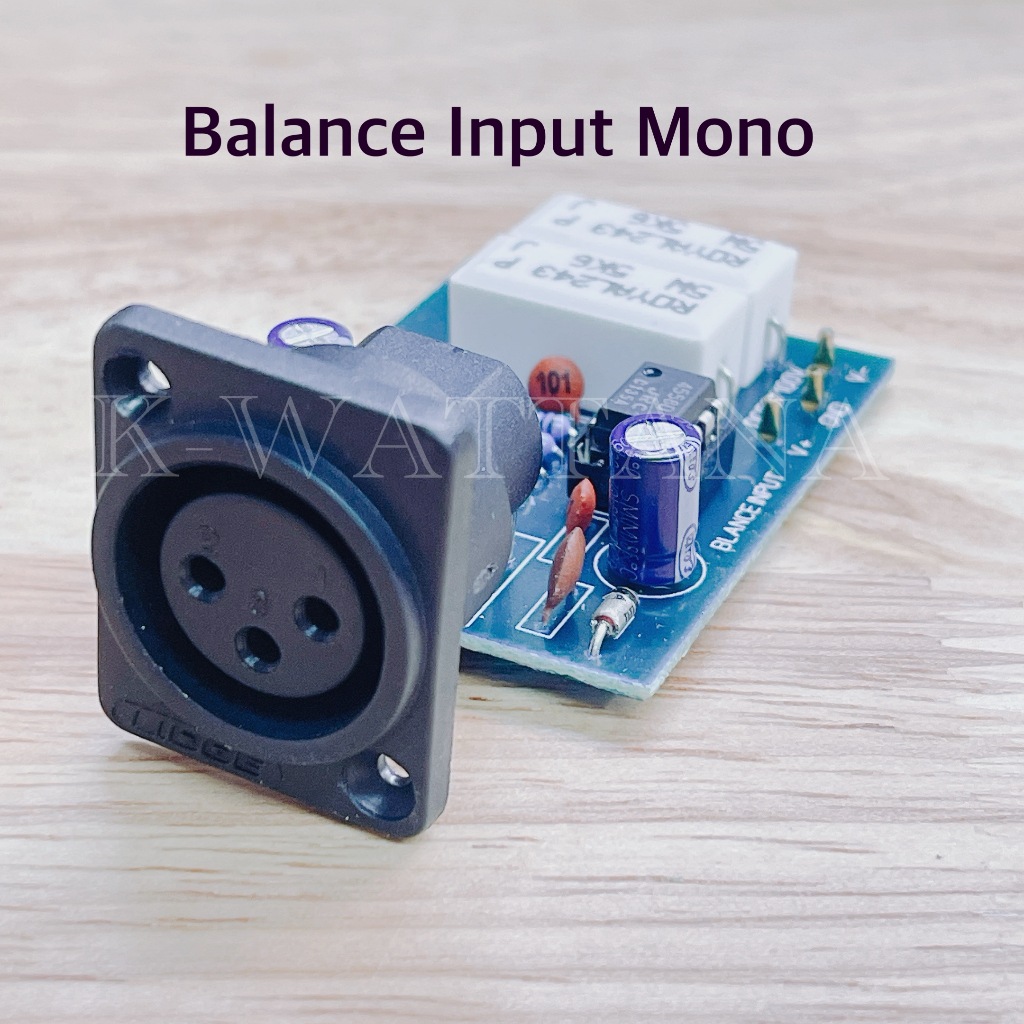 Balance Input บาร์ล้านอินพุท รุ่น MONO มีแคนนอน XLRในตัว | Shopee Thailand