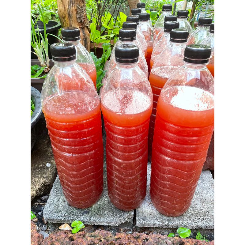 จุลินทรีย์สังเคราะห์แสง 1500 ml. (Photosynthetic Bacteria หรือ PSB) | Shopee Thailand