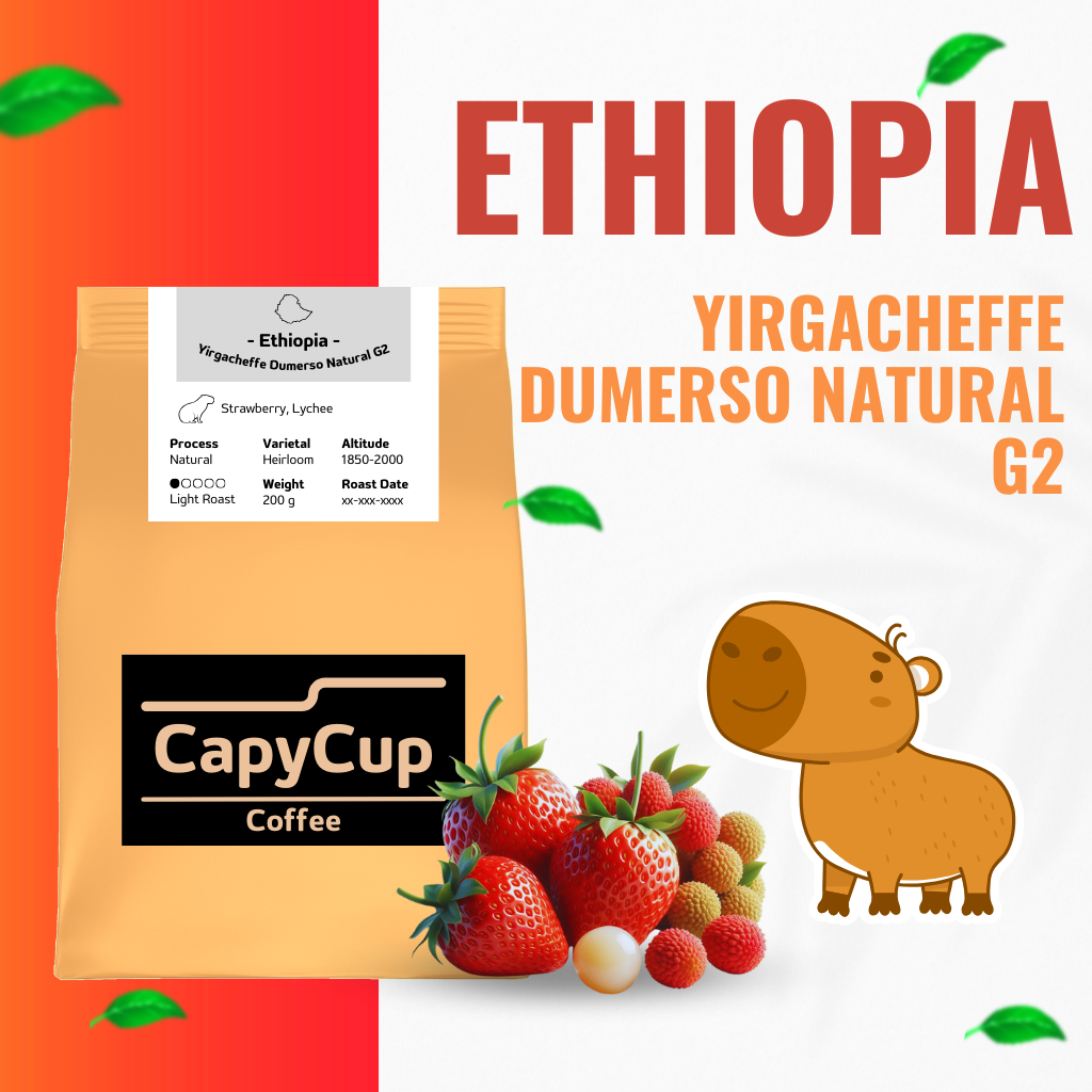 เมล็ดกาแฟ Ethiopia Yirgacheffe Dumerso Natural G2 - CapyCup Coffee ...