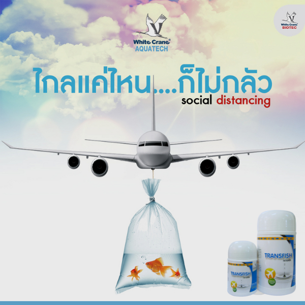 TRANSFISH ทรานฟิช สารปรับสภาพน้ำสำหรับขนส่งปลาสวยงาม ขนาด 1 กิโลกรัม | Shopee Thailand