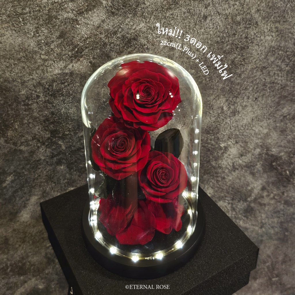 [Eternal.Rose] Size L 22ซม กุหลาบจริงในโหลแก้ว กุหลาบนิรันดร์ ไม่เหี่ยว5-10ปี ขนาด3ดอก | Shopee ...