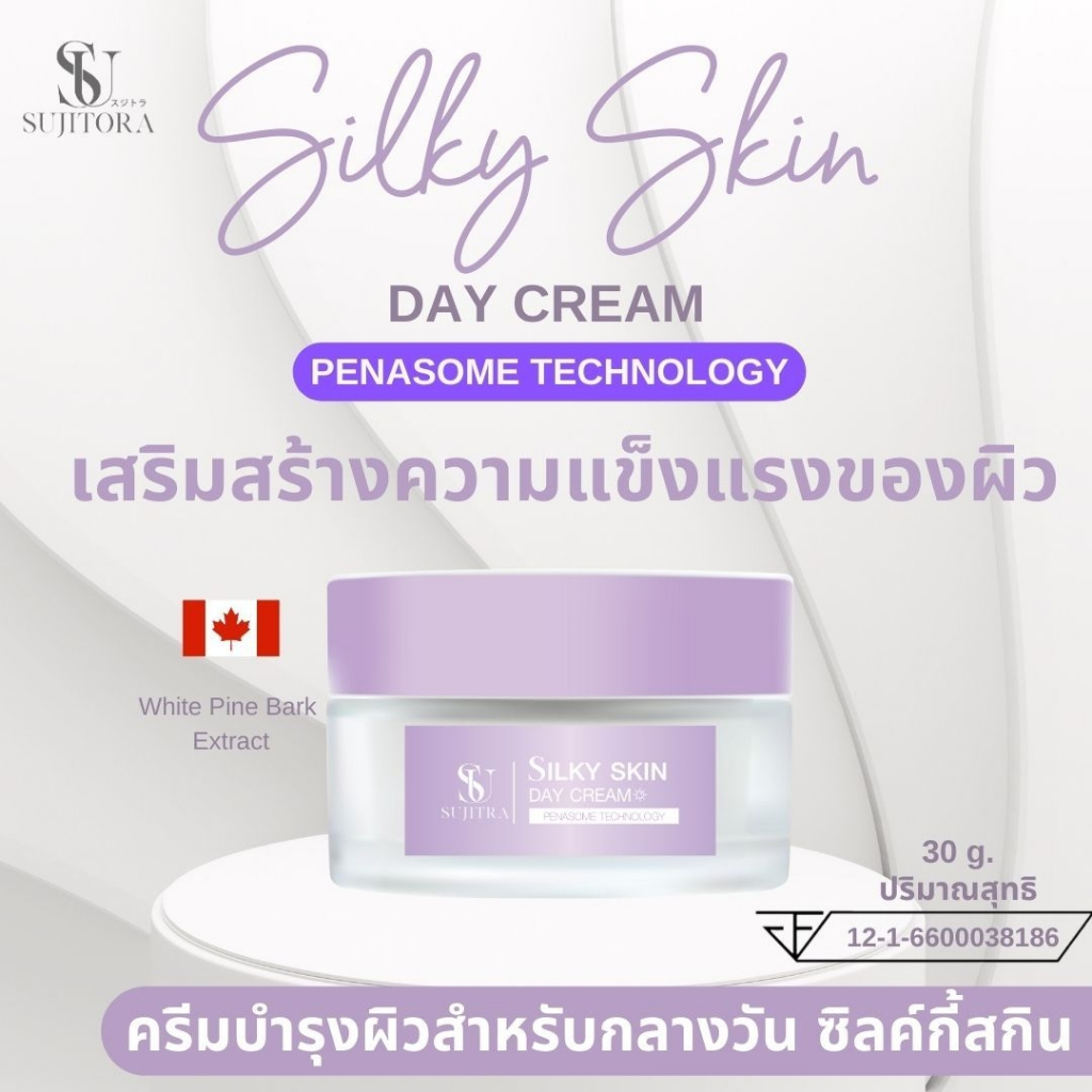 Silky skin day cream ครีมบำรุงผิวสำหรับกลางวัน | Shopee Thailand