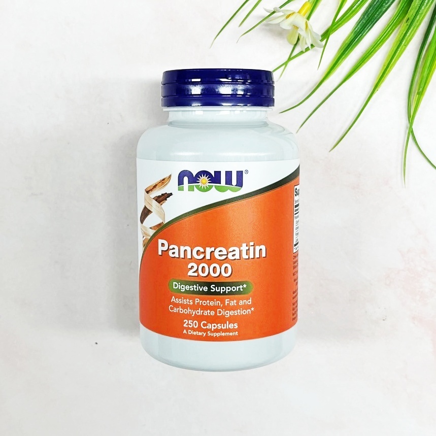 [Now Foods®] Pancreatin 2000 250 Capsules แพนคริเอติน | Shopee Thailand