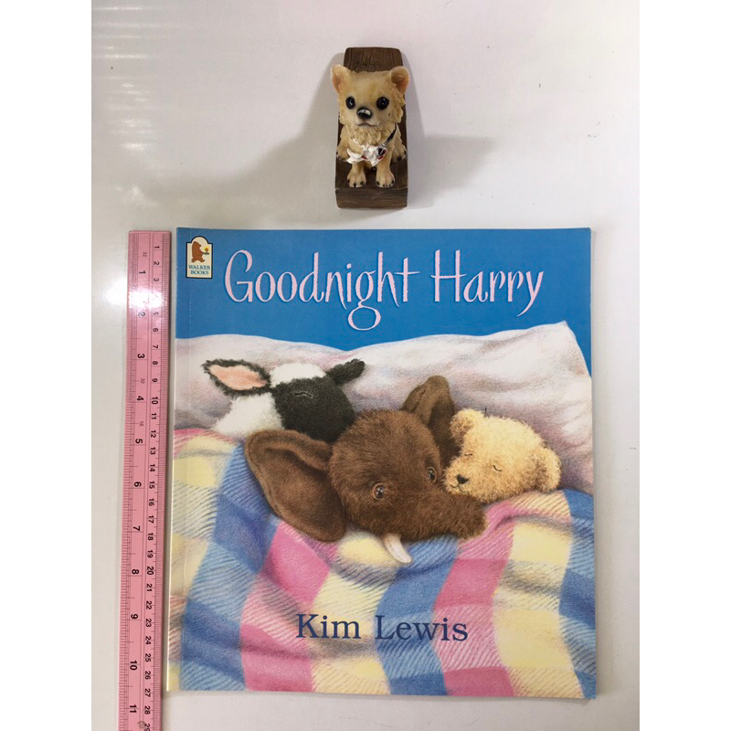 Goodnight Harry By Kim Lewis หนังสือภาษาอังกฤษเด็กปกอ่อน | Shopee Thailand