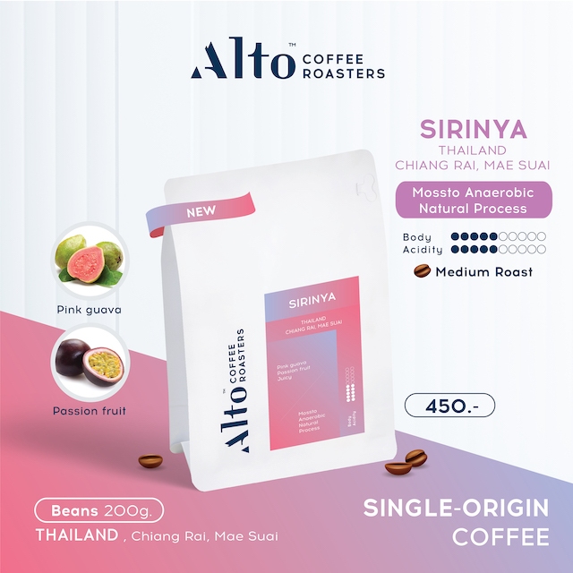 Alto Coffee เมล็ดกาแฟ คั่วกลาง Sirinya, Thailand ศิริญญา (200g ...