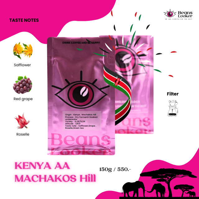 เมล็ดกาแฟ KENYA AA MACHAKOS Hill Process : Dry Fermented+Soaked ...