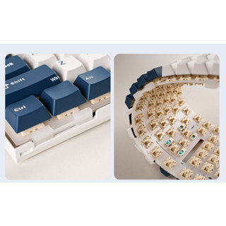 Royal Kludge RK R98 RGB - คีย์บอร์ดขนาด Full Size 98% คีย์บอร์ดไร้สาย ...