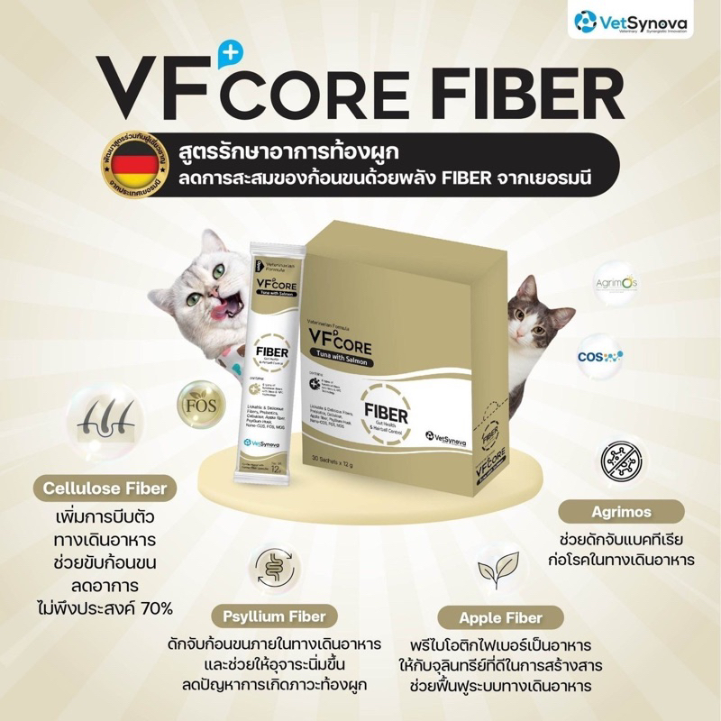 VFcore อาหารเสริมบำรุงสุขภาพ สำหรับสุนัขและแมว ขนาด 12 กรัม | Shopee ...