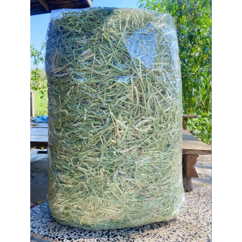 Timothy Premium ทิมโมธีพรีเมี่ยม ยกถุงขนาด5กิโลกรัม(ร่อนฝุ่น)คุ้มจุใจ ...