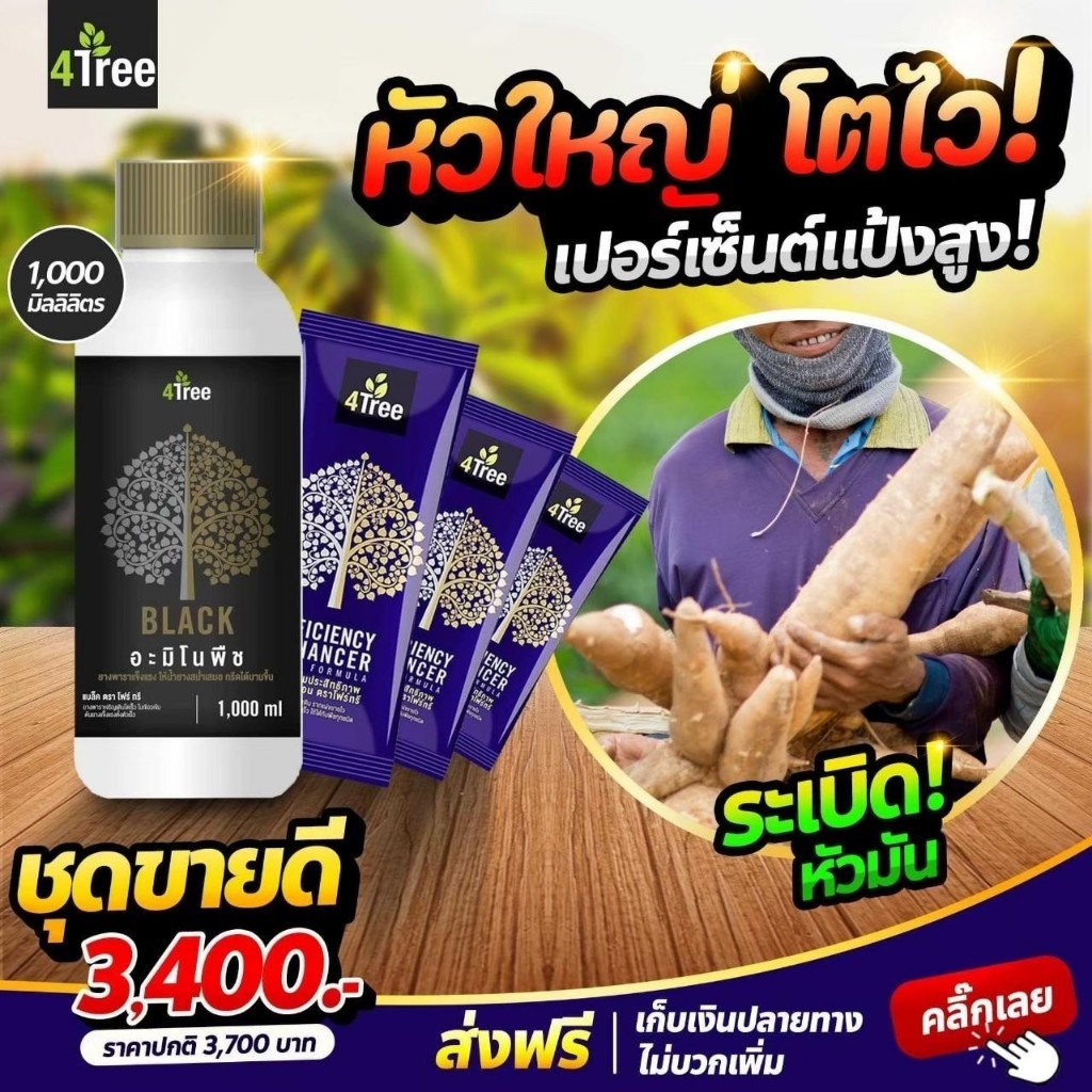 ชุดระเบิดหัวมันชุดขายดี 4tree 1 ซอง + อะมิโนแบล็ค 1000 ml. | Shopee Thailand