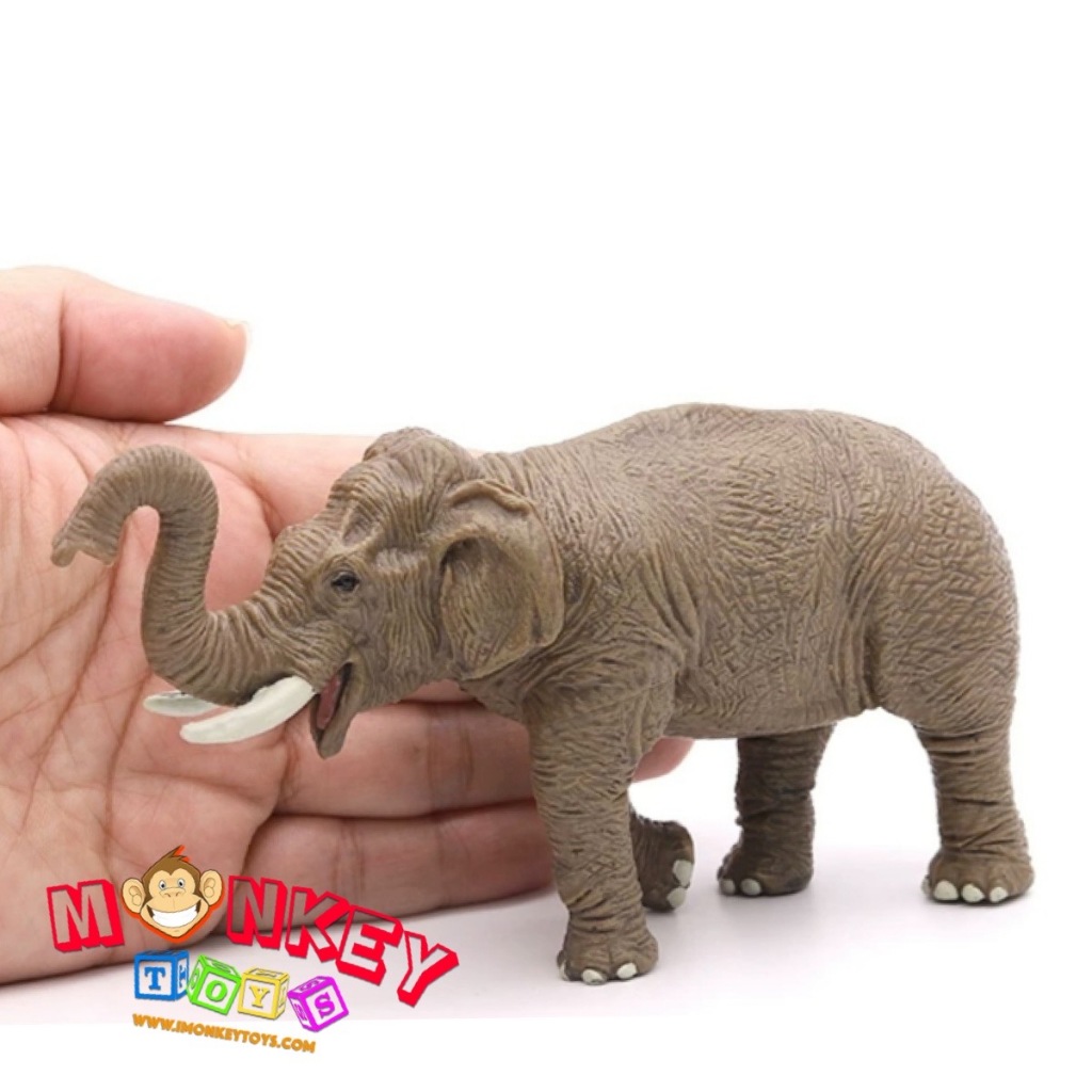 Monkey Toys - โมเดลสัตว์ Elephant ช้าง เอเชีย ขนาด 15.00 CM (จากหาดใหญ่ ...
