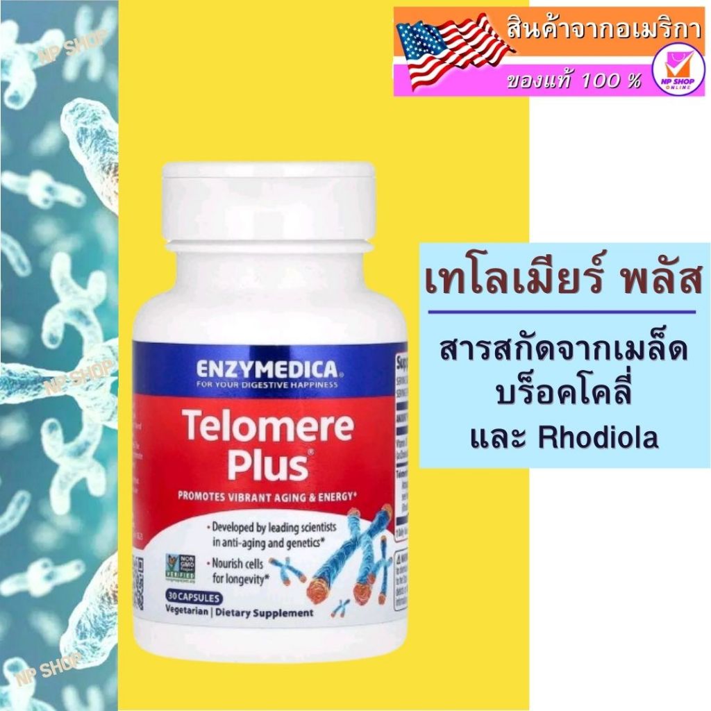 เทโลเมียร์, Enzymedica, Telomere Plus, 30 Capsules | Shopee Thailand