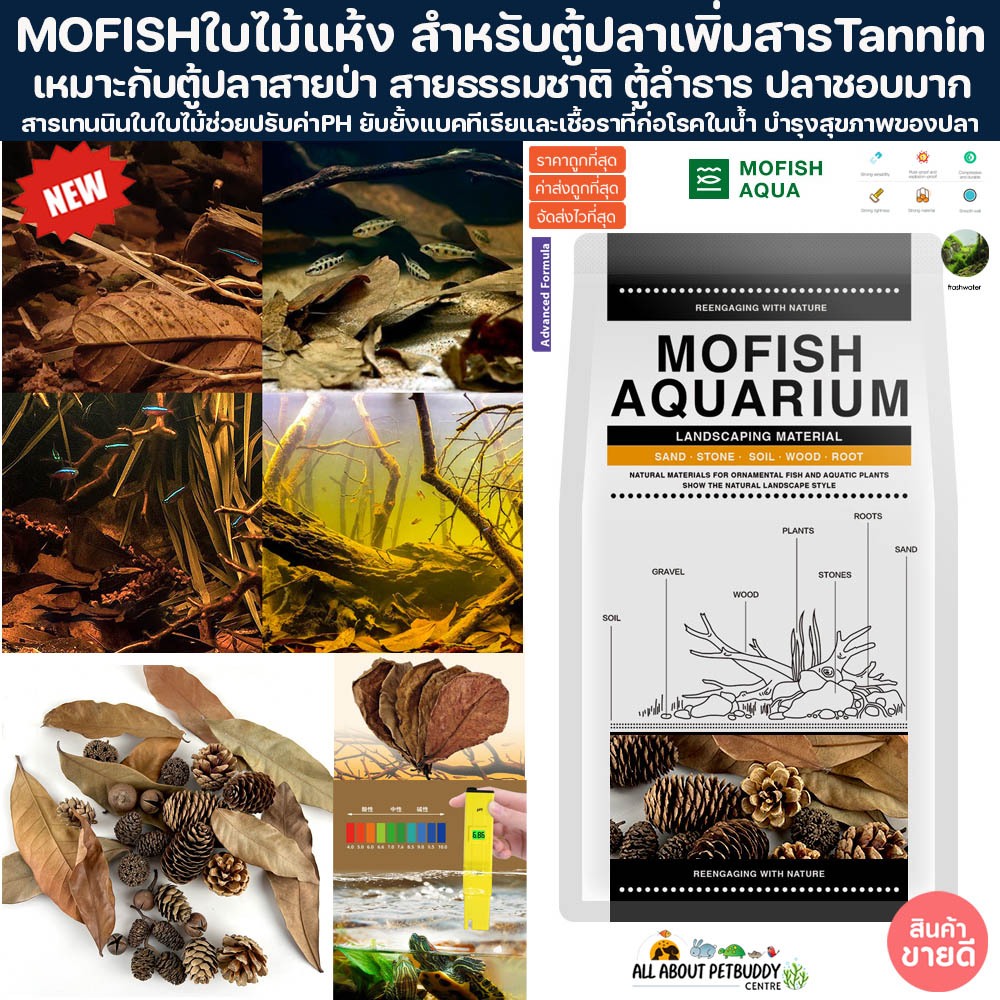 MOFISH ใบไม้ แห้ง สายตู้ลำธาร สายป่า สายตู้ธรรมชาติ ปรับPH ปลาชอบ ปลาไม่ป่วย ปลาเพิ่ม Tannin ปลา ...