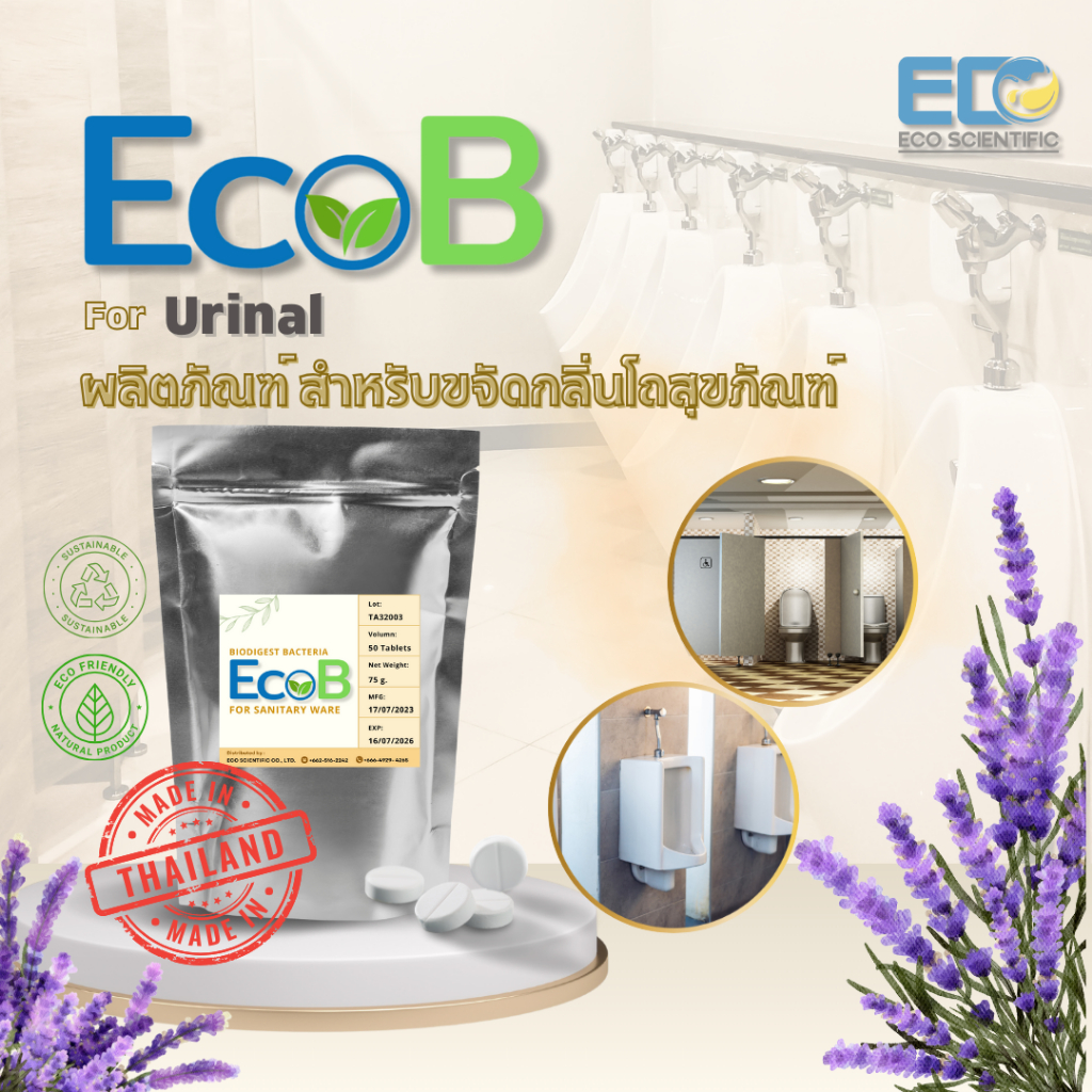 EcoB Enzyme Bacteria สำหรับโถสุขภัณฑ์และห้องน้ำ แก้ปัญหาคราบตกค้างและ ...