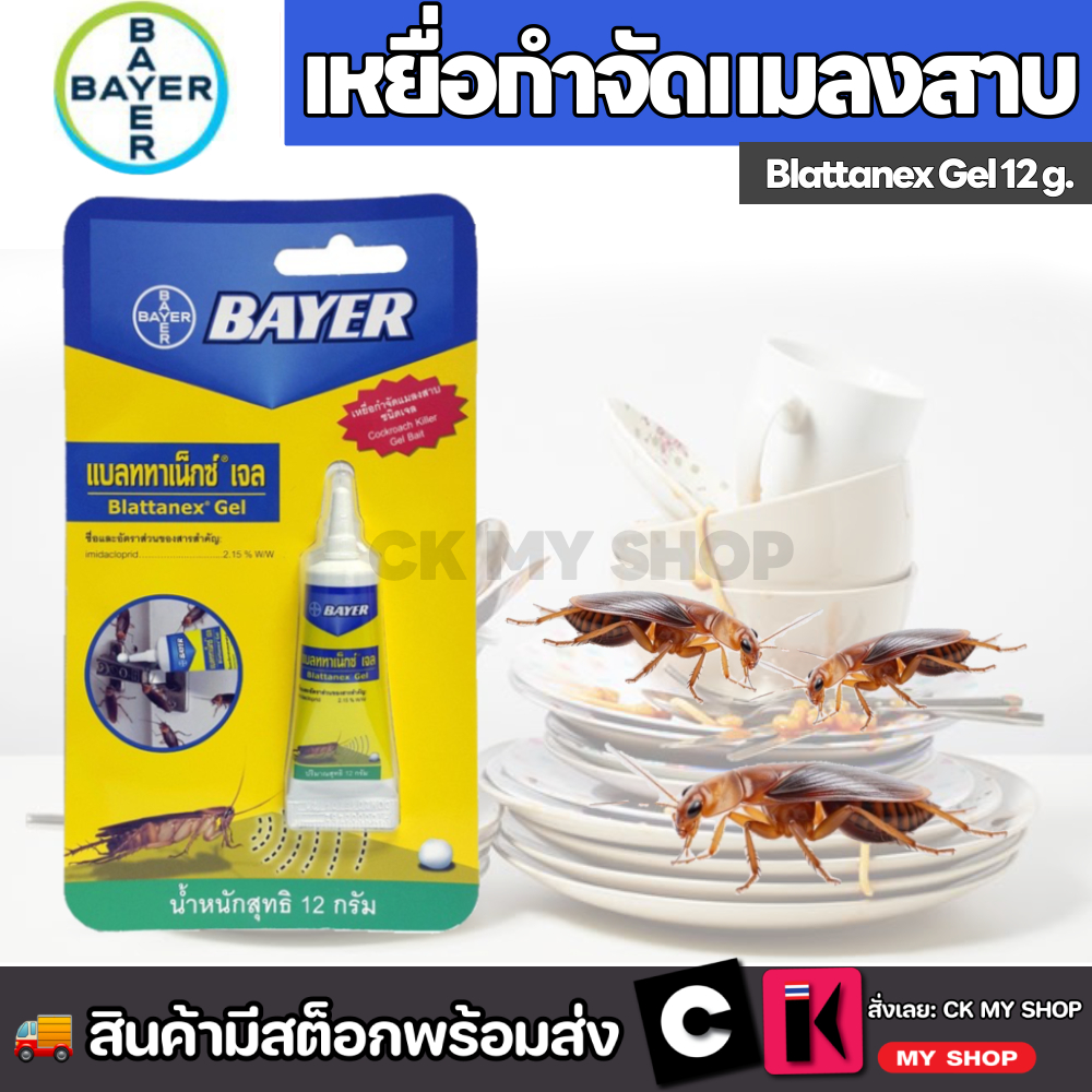 BAYER แบลททาเน็กซ์เจล เหยื่อกำจัดแมลงสาบ 12 กรัม Blattanex Gel | Shopee ...