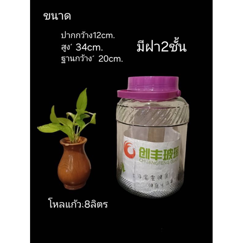 โหลแก้ว ขวดโหลหู หิ้ว ขวดโหลดองบ๊วย โหลบ๊วย ขนาด 3L 5L 8L | Shopee Thailand
