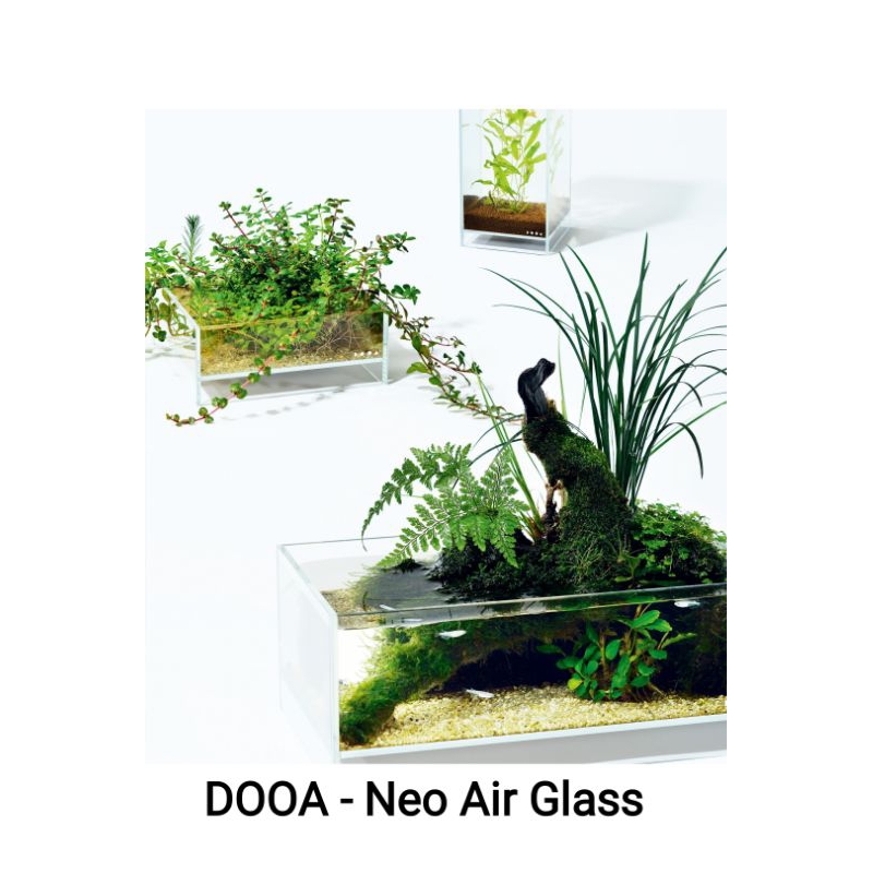 Dooa - Neo Air Glass | Shopee Thailand