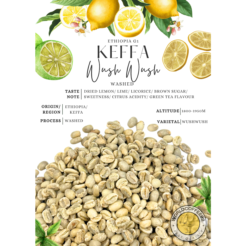 🚚พร้อมส่ง💯 เมล็ดกาแฟดิบ Keffa Wush Wush Ethiopia G1 washed process/ สาร ...