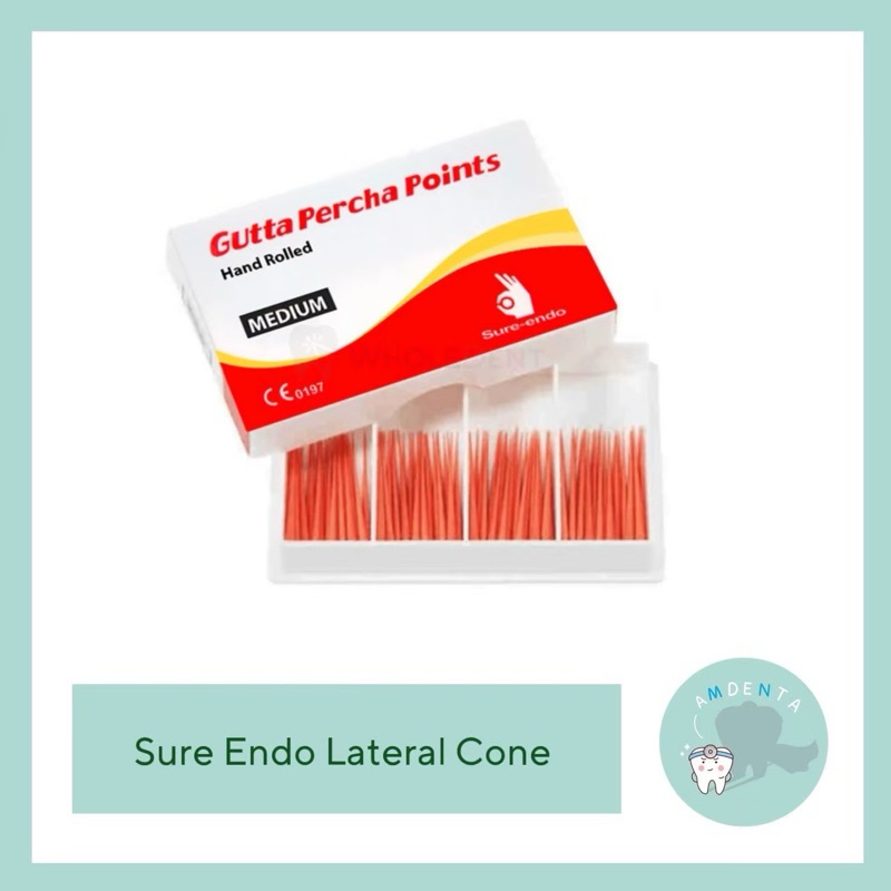 Accessory Cone : Sure Endo พร้อมส่ง | Shopee Thailand