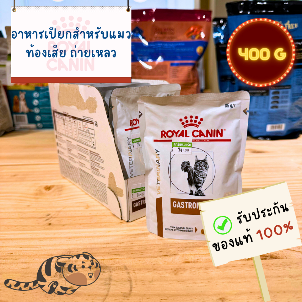 Royal Canin (Cat) Pouch - Gastrointestinal / รอยัลคานิน อาหารแมว ...