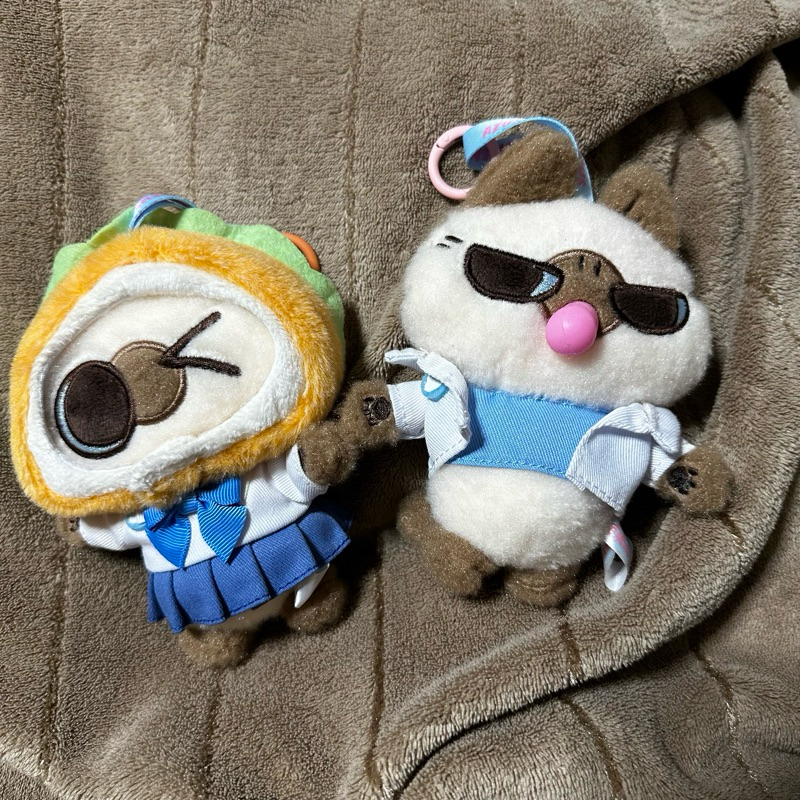 น้องแมว Azuki Cat doll กล่องสุ่ม arttoy ตุ๊กตา Azukisan Campus Plush ...