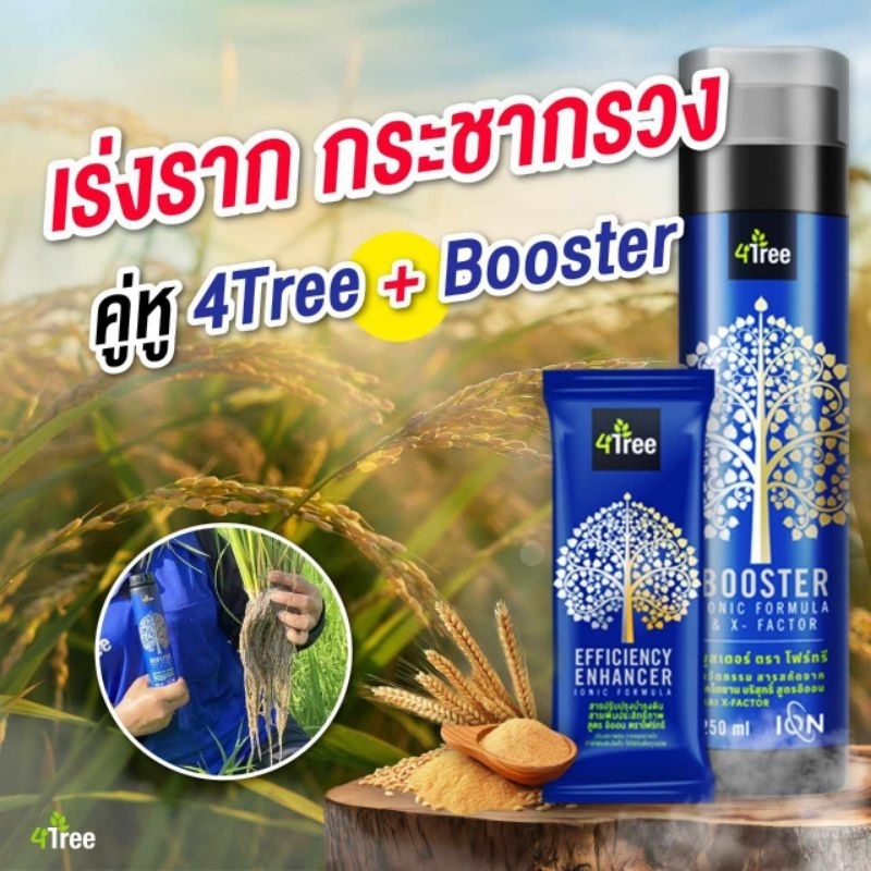 4Tree โฟร์ทรี + Booster บูสเตอร์ นาข้าว เร่งราก กระชากรวง พลัง x4 ไคโตซานประสิทธิภาพสูง | Shopee ...