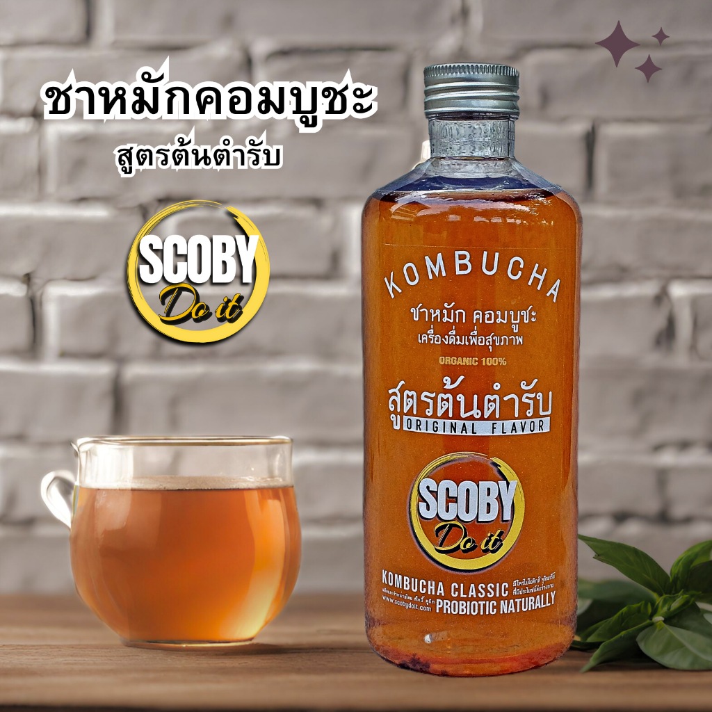 KOMBUCHA - Scoby Do it เครื่องดื่มเพื่อสุขภาพ ชาหมัก คอมบูชะ สูตรต้นตำรับ ขนาด 450 ml. | Shopee ...