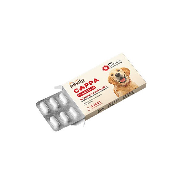 Pawly Cappa Synbiotic จุลินทรีย์ โพรไบโอติก พรีไบโอติก Probiotics รักษา ...