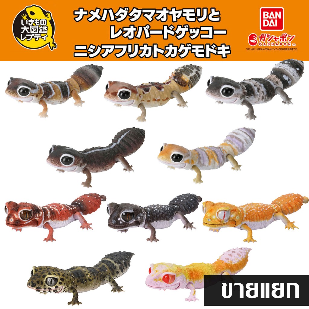 Bandai แยก Gashapon Ikimono Encyclopedia African Fat-Tailed Gecko ...