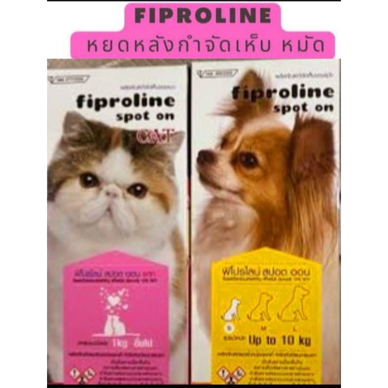 Fiproline Spot On(ฟิโปรไลน์) ผลิตภัณฑ์หยดหลัง กำจัดเห็บหมัดสุนัขและแมว ...