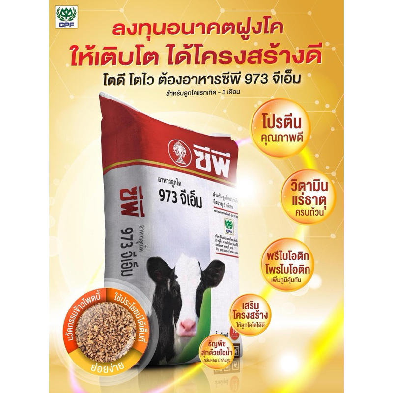 CP 973 จีเอ็ม อาหารลูกวัว ลุกโค ( แรกเกิด - 3 เดือน ) ชนิดเม็ด ผสมบดหยาบ | Shopee Thailand