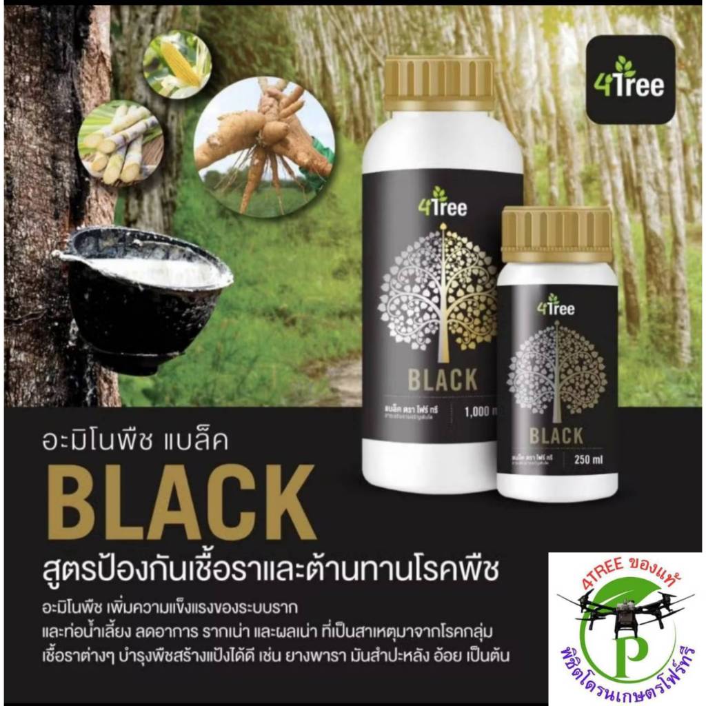 AMINO Blackอะมิโนแบล็ค ช่วยเพิ่ม%น้ำยาง เพิ่มค่าแป้ง ป้องกันโรคโคนเน่า ท่อน้ำเลี้ยงเน่า รากเน่า ...