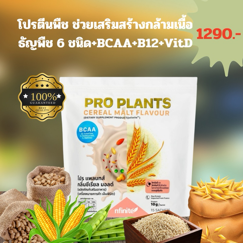 โปรตีนพืช เจ วีแกน ทานได้ ช่วยสร้างกล้ามเนื้อPRO PLANTS CEREAL MALT FLAVOUR (DIETARY SUPPLEMENT ...