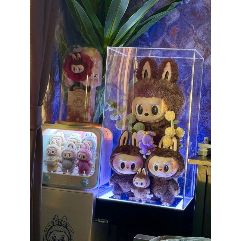 Zimomo LED Display Case | Shopee Thailand