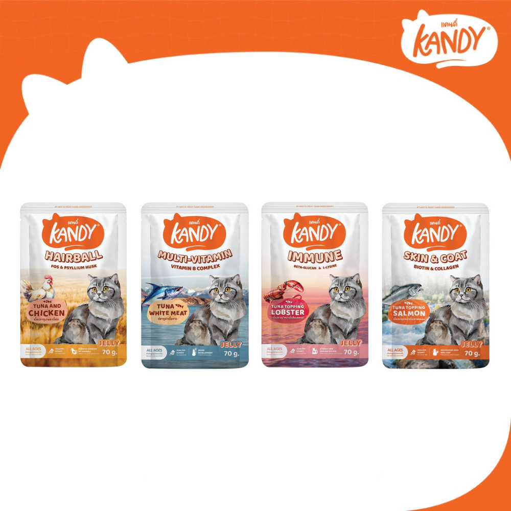 [แบบโหล,12ซอง] Kandy Cat Wet Food 70g. อาหารแมวแคนดี้ ชนิดเปียก ขนาดซองละ 70 กรัม มีให้เลือก 4 ...
